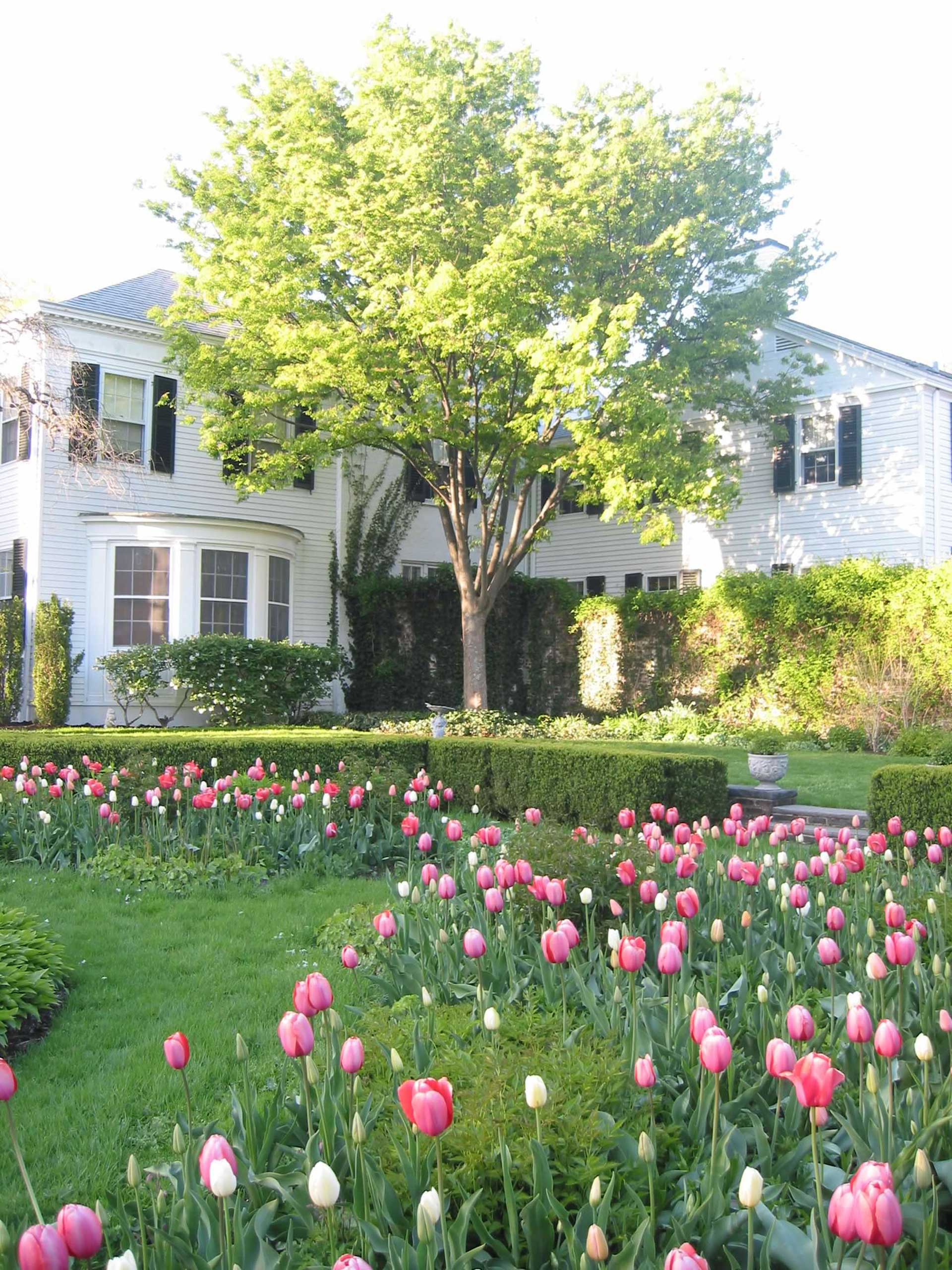 Lands End | Locust Valley